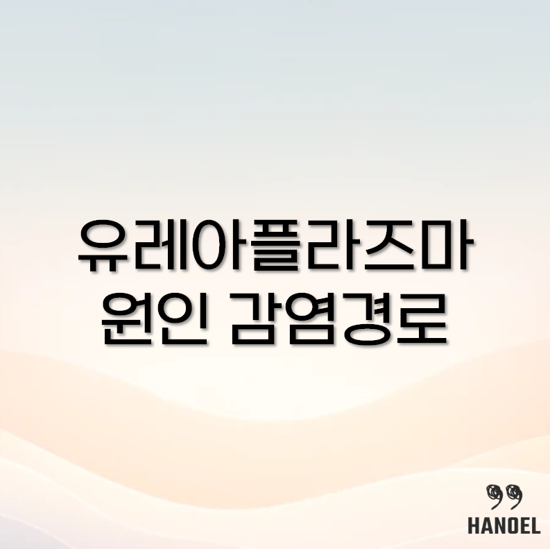 유레아플라즈마 파붐 유레아리티쿰 원인 감염 경로 남자친구 바람 완치 가능성