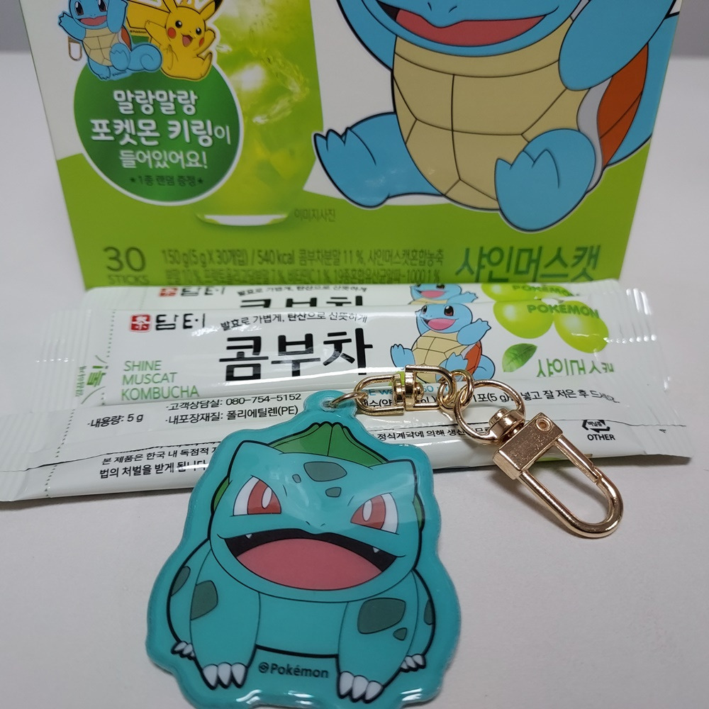 인스턴트 콤부차 담터 콤부차 샤인머스캣과 자몽 Vs 티젠 파인애플 콤부차