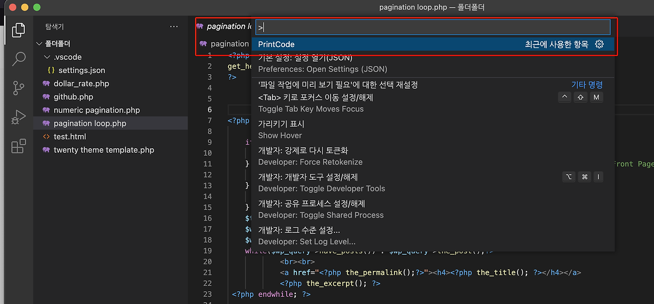 vscode printcode 사용법 맥 안되는 이유