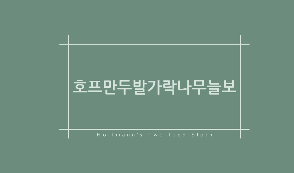 호프만두발가락나무늘보hoffmanns Two Toed Sloth특징서식지종류천적수명몸무게꿈해몽