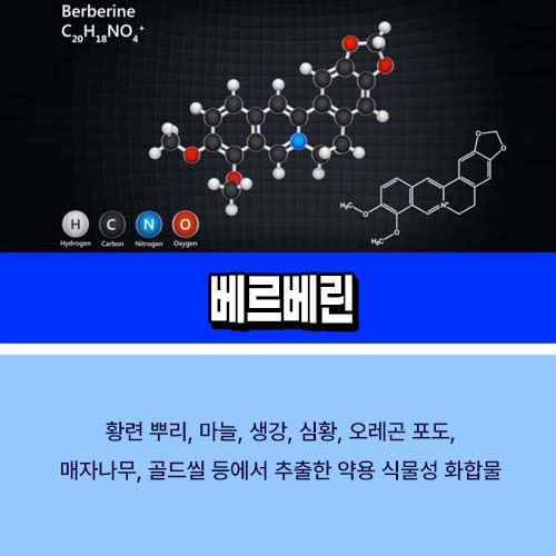 베르베린 Ampk효소활성화 효능 부작용 복용법 영양제 추천