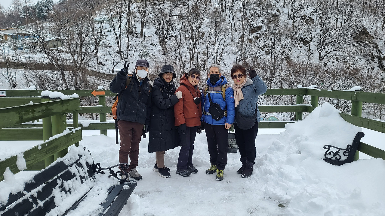 백두대간 협곡열차v Train 눈꽃여행 영상