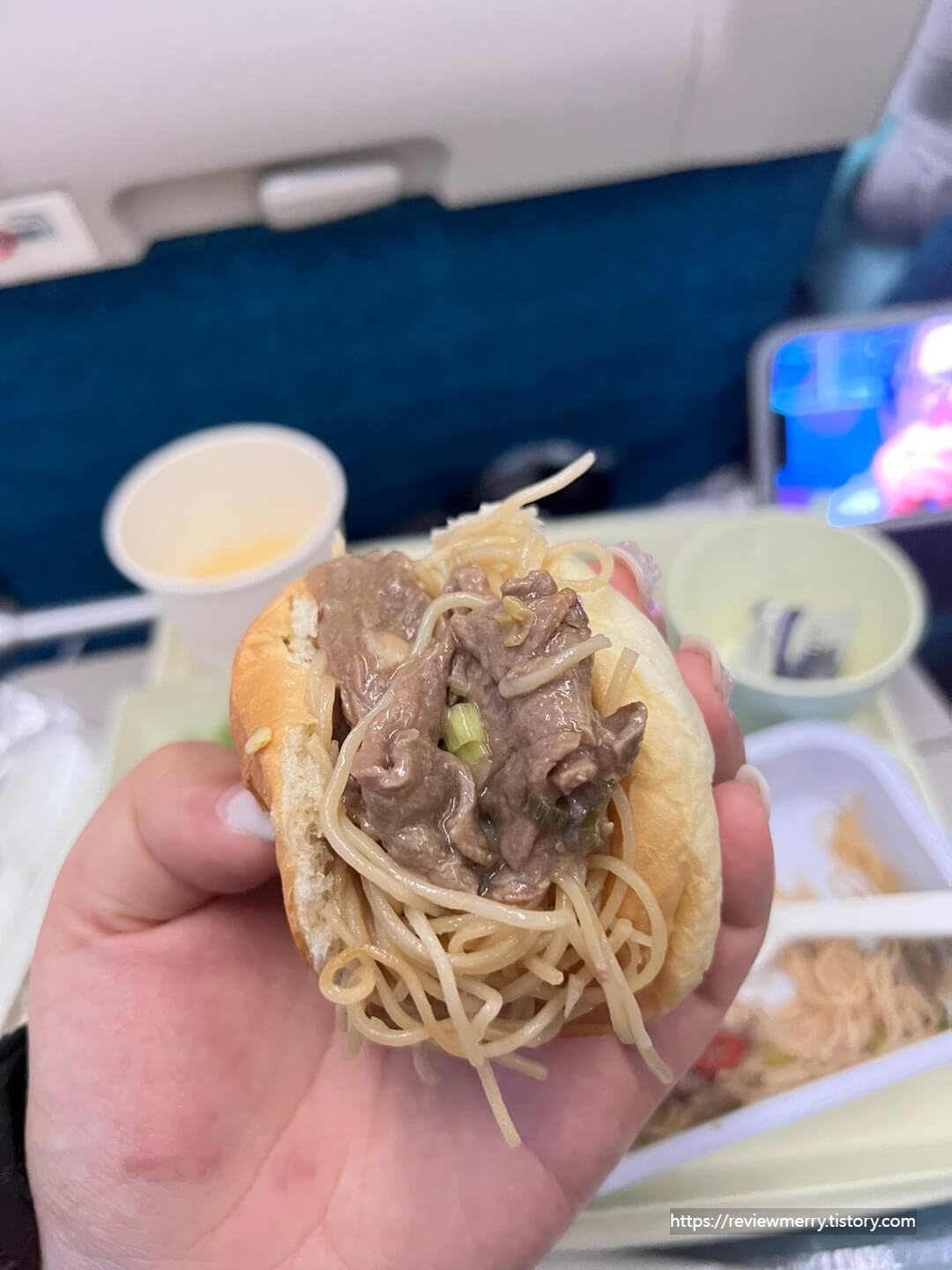 김해↔호치민 직항 노선 베트남항공 이코노미 좌석 이용 후기 및 정보