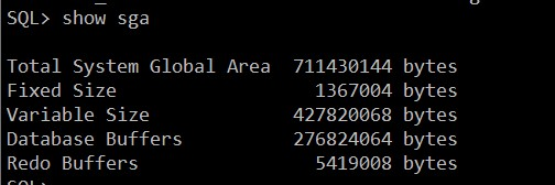 231211 Linux_SAG, Database Buffer Cache, Data Buffer Cache, shared pool ...