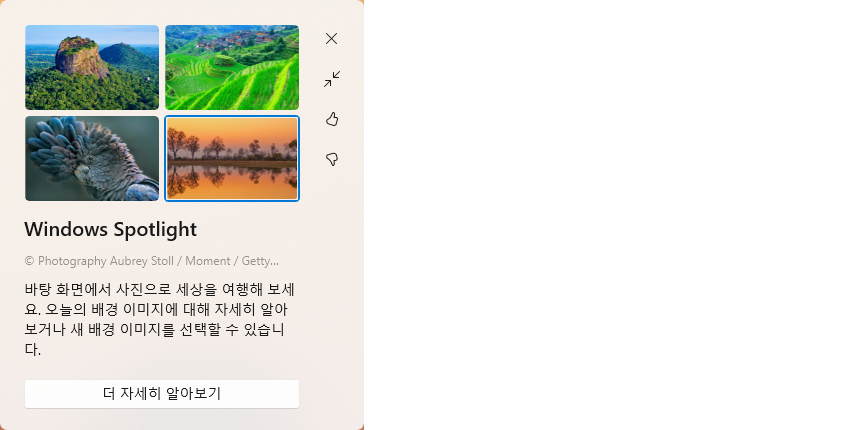 Draft 원도우 11에서 이 사진에 대해 자세히 알아보기 아이콘을 제거하는 방법