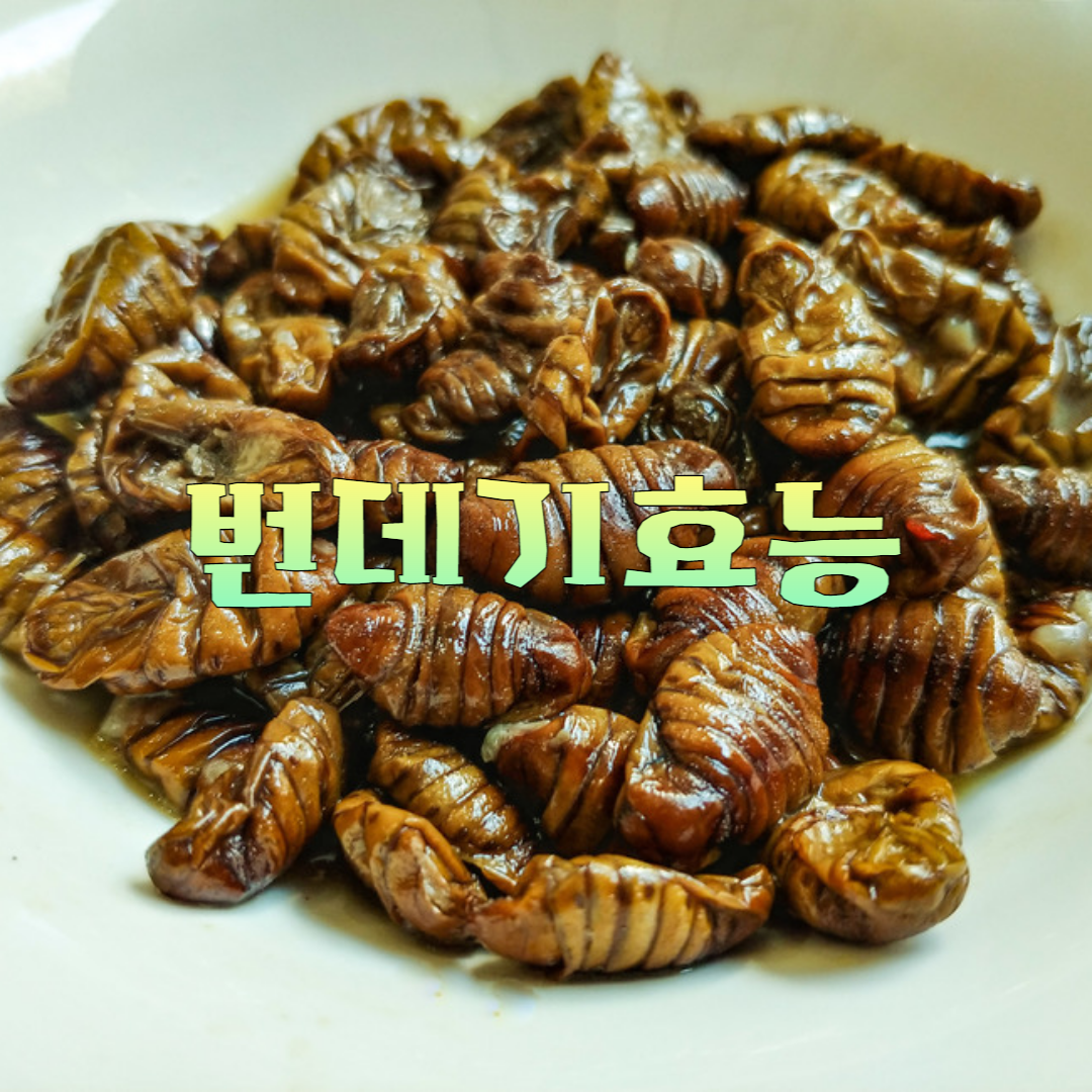 번데기 효능 영양성분 고르는법 부작용