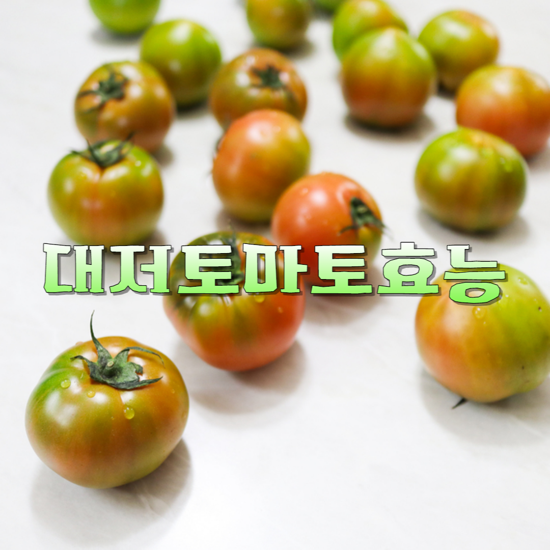 짭짤이 대저토마토 효능 영양성분 고르는법 부작용