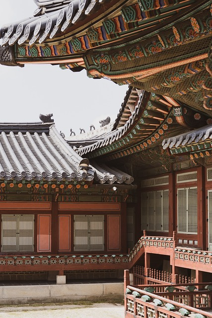 Ktx 노선도 크게 보기 확대 전국 열차 시간표