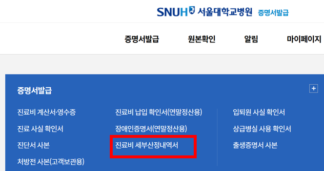 서울대학교병원 진료비세부내역서 온라인인터넷 셀프 발급 방법