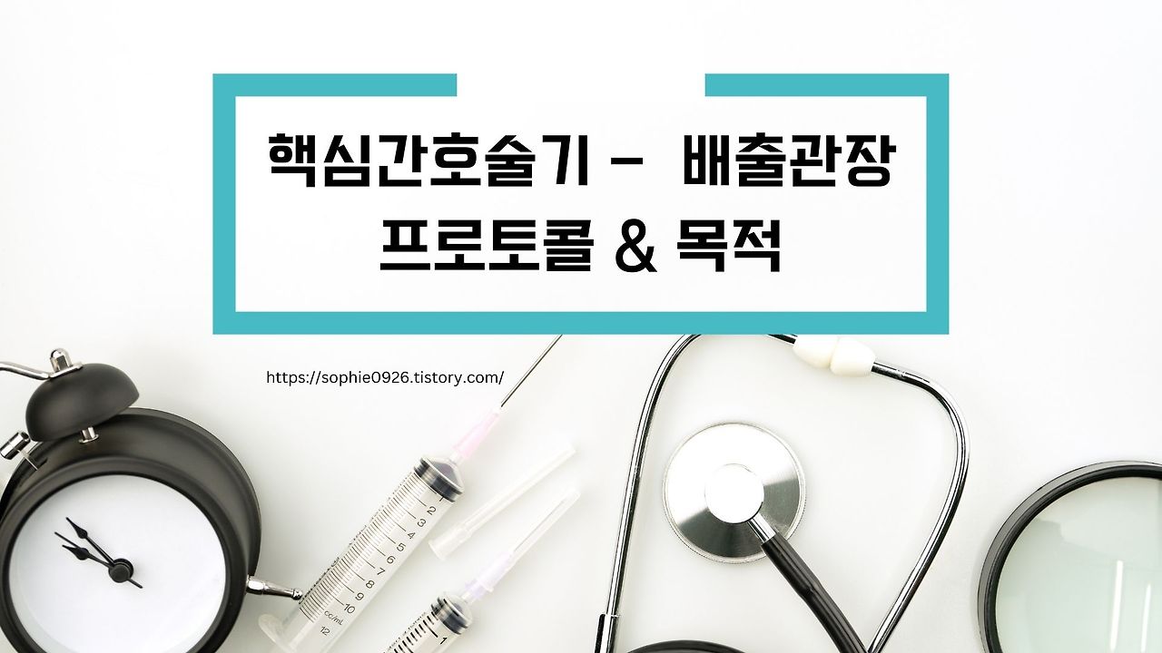 핵심간호술기 배출관장 Cleansing Enema 술기 순서 And 목적