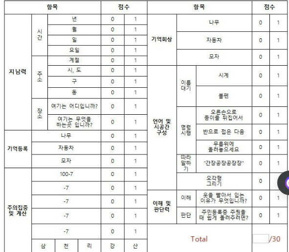 노인치매검사 K-MMSE / GDS / 신경인지기능검사 에 대해서 / 나는, 혹은 나의 부모님이 치매인가요?