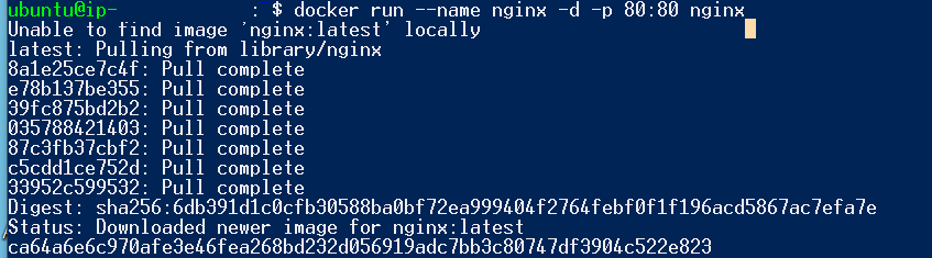 [INFRA] Docker에서 Nginx 컨테이너 실행과 https 설정하기