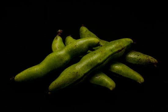 몬테크리스토 샌드위치 햄치즈샌드위치 만들기 아침식사 메뉴