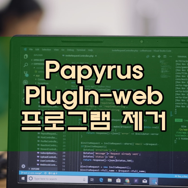 Papyrus-PlugIn-web 프로그램이 무얼까? 삭제가능?