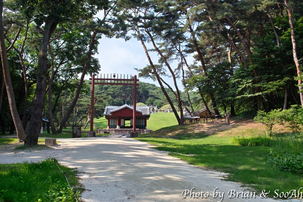 [왕릉천행]성군을 꿈꾸다-세종의 길, 헌인릉 및 영녕릉 참가후기 #4 영릉(효종의 릉)