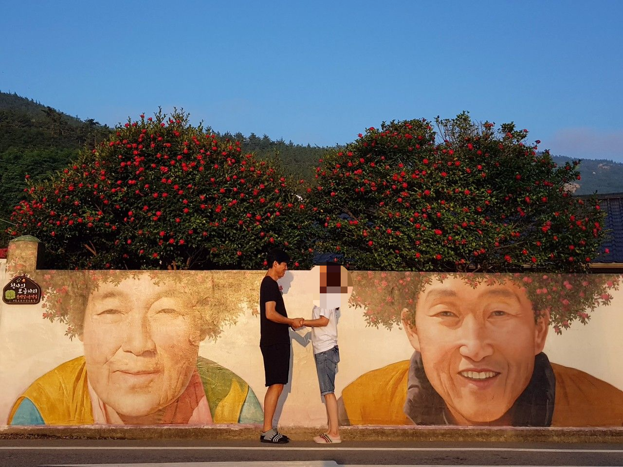 전남 신안군 퍼플섬 반월도와 박지도 퍼플교 입장료 및 무료입장 방법 주차정보