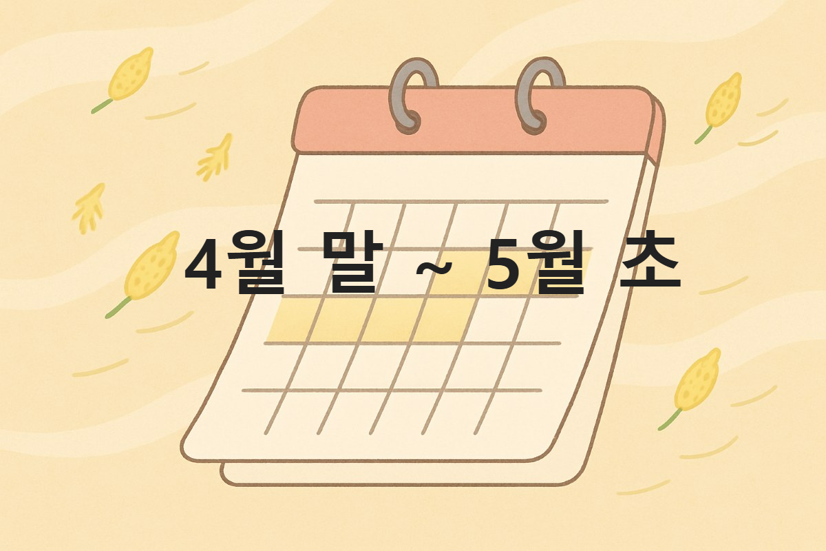 송화가루 날리는 시기와 시간 알레르기 원인과 대처법