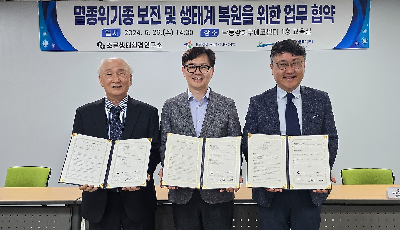 큰고니 봄·여름·가을 세쌍둥이의 새로운 도전 에버랜드 큰고니 야생 방사 프로젝트 추진