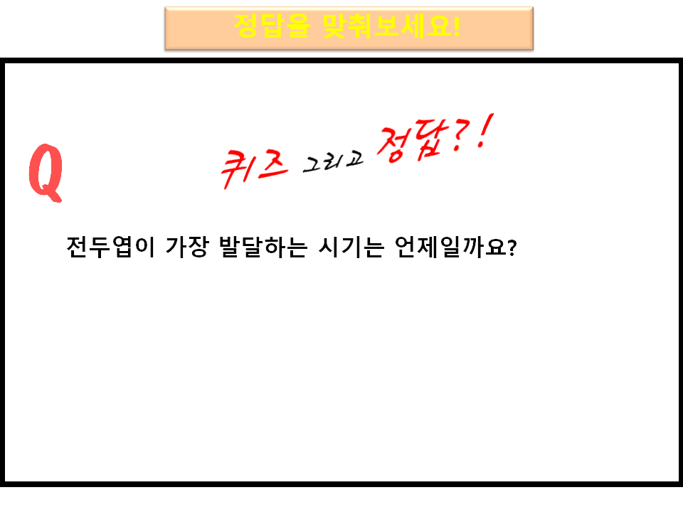 자기주도학습법 뇌과학의 이해 수업 교안