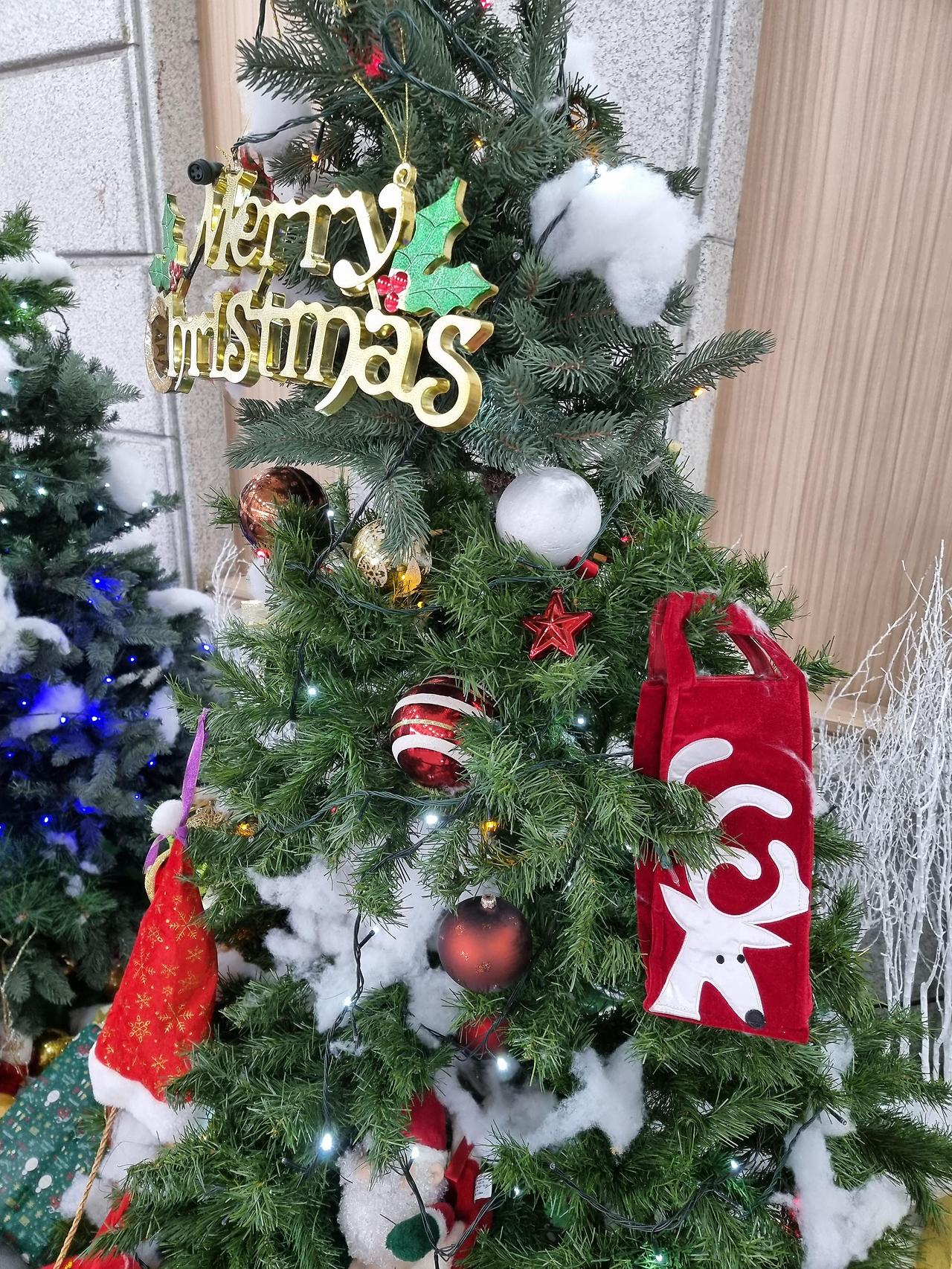 안동 성소병원 건강검진 받기 221213화