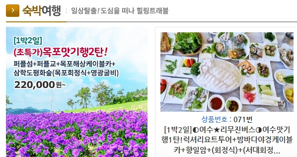 굿모닝여행사 홈페이지(https://www.gmtr.co.kr) 바로가기