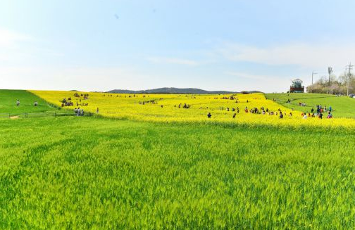 폭싹속았수다 결말 촬영지 제작발표회 등장인물 관계도 논란 알아보기