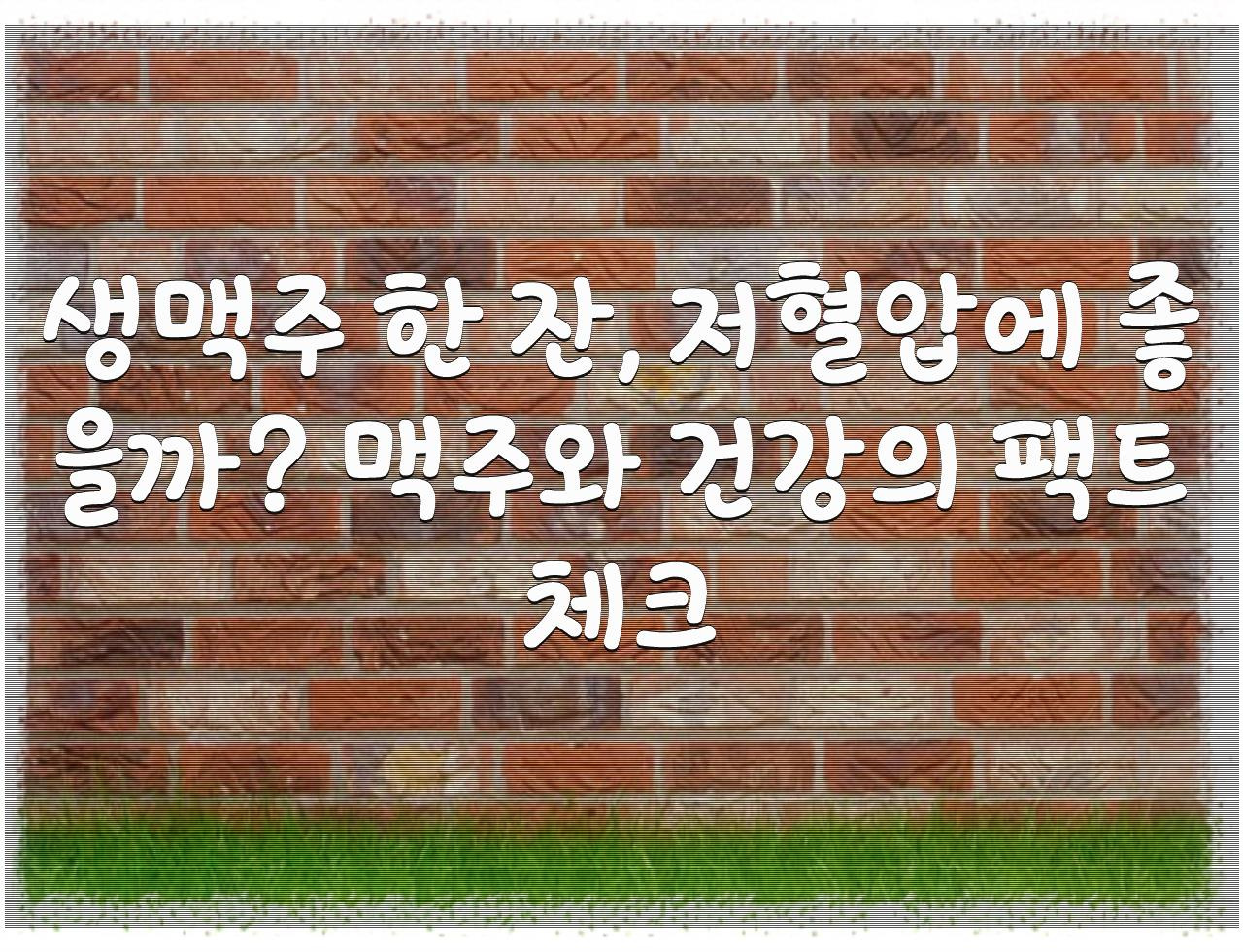 생맥주 한 잔 저혈압에 좋을까 맥주와 건강의 팩트체크