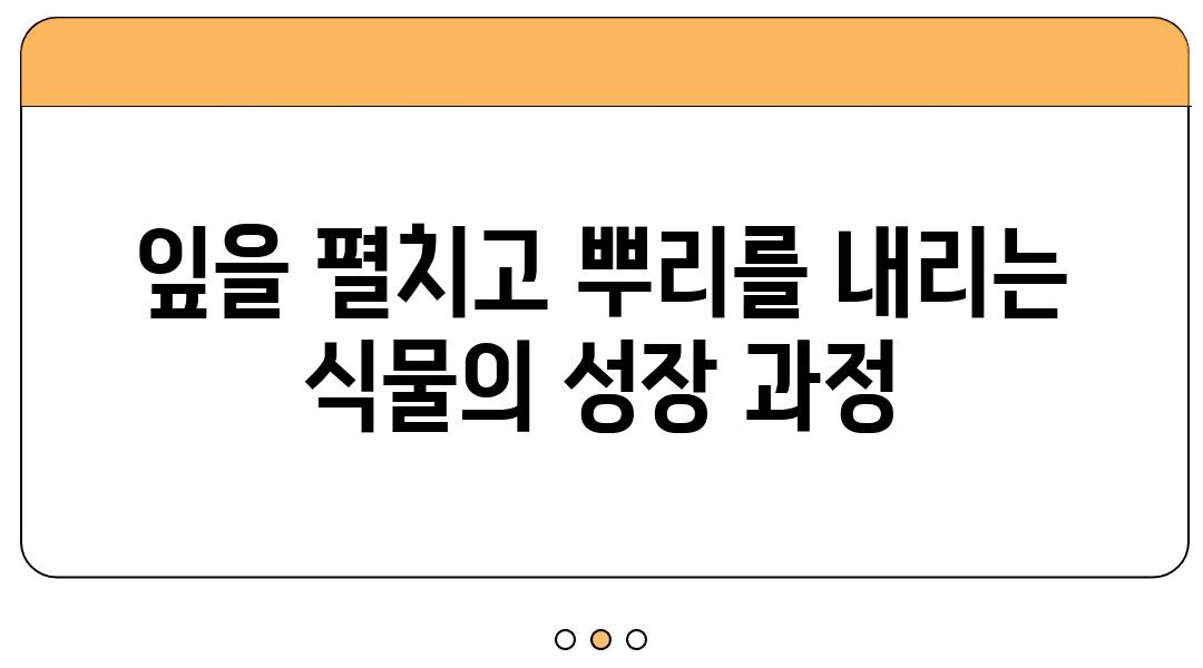 식물의 성장 단계 완벽 이해하기 식물 생장 발아 개화 결실 성장 과정 팁