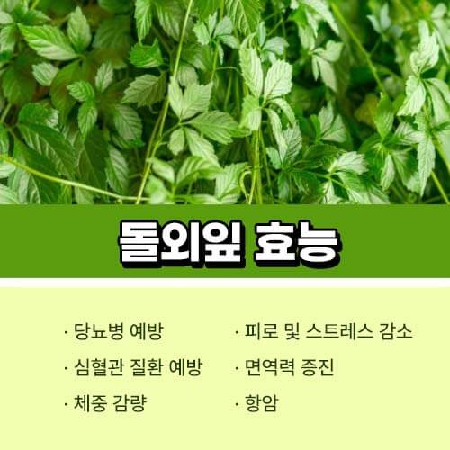 돌외잎 추출물 다이어트 효능 부작용 차 만들기