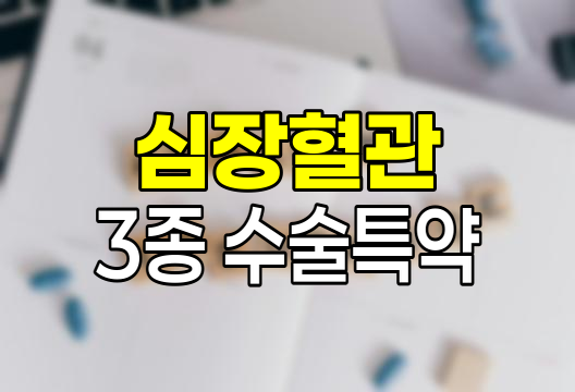 삼성화재 심장 및 혈관 3종 수술특약 심층분석 메모리유