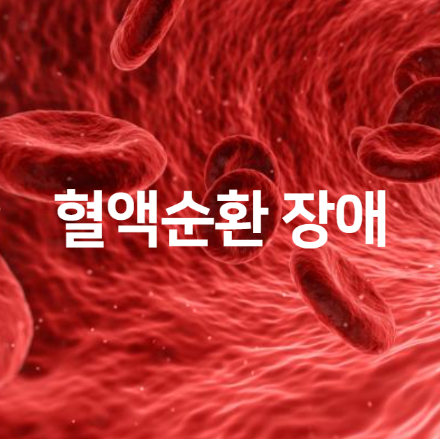 수족냉증 원인 혈액순환 장애 방치하면 안된다 개선 방법 3가지