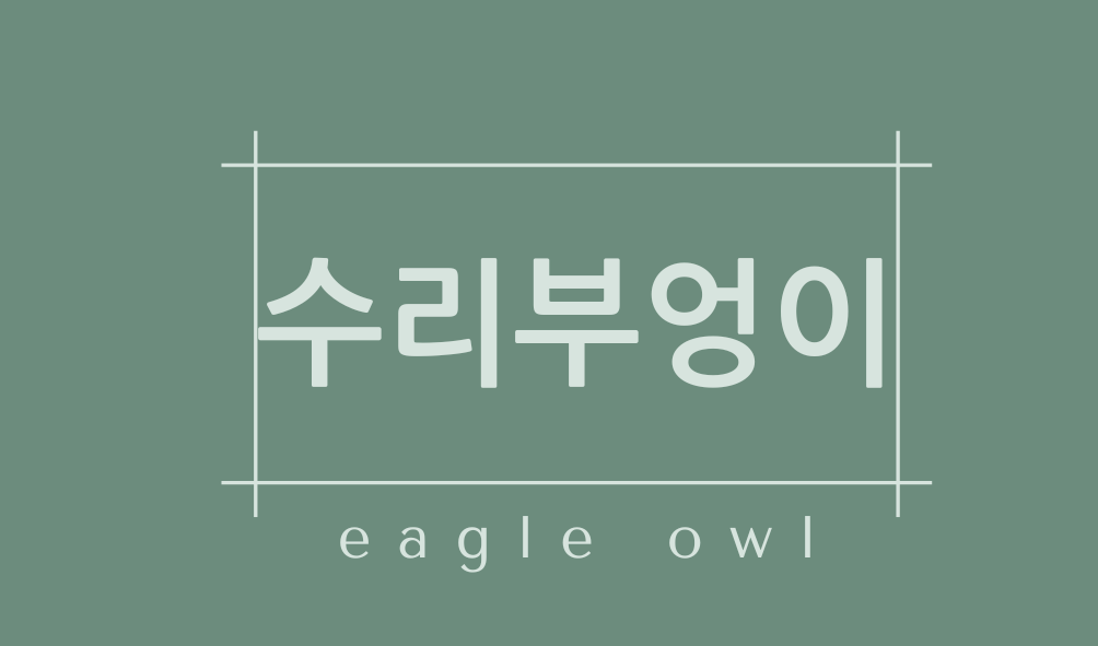 수리부엉이eagle Owl특징서식지종류천적수명몸무게꿈해몽