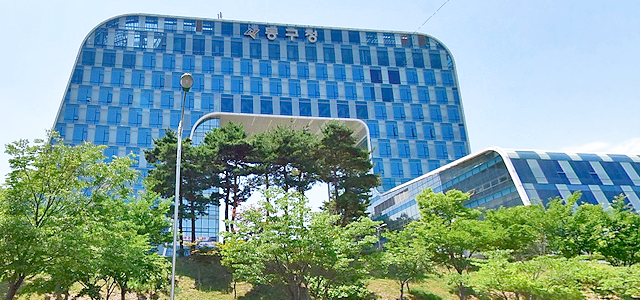 대전 동구청 여권 발급 방법 수령 소요기간 토요일 재발급 여부 및 주의사항 Faq