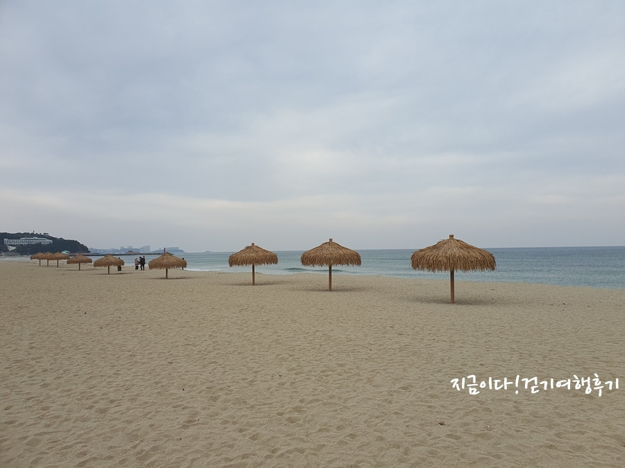 해파랑길44코스 양양구간 수산항~낙산해변~낙산사 입구~설악해변~물치해변~속초해맞이공원북진 2차