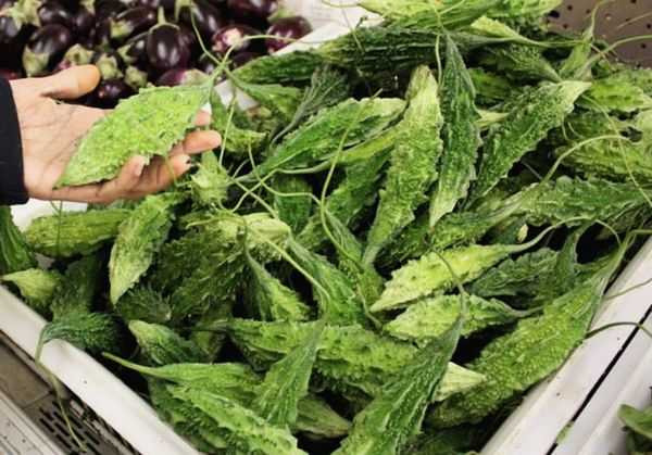 여주 효능 및 부작용 여주차 끓이는법 알아봐요