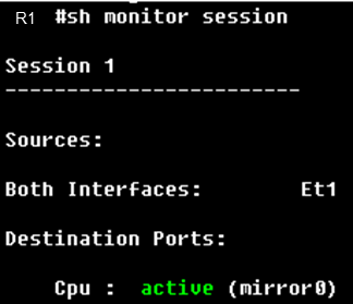 [Network] Mirror Session(debugging)