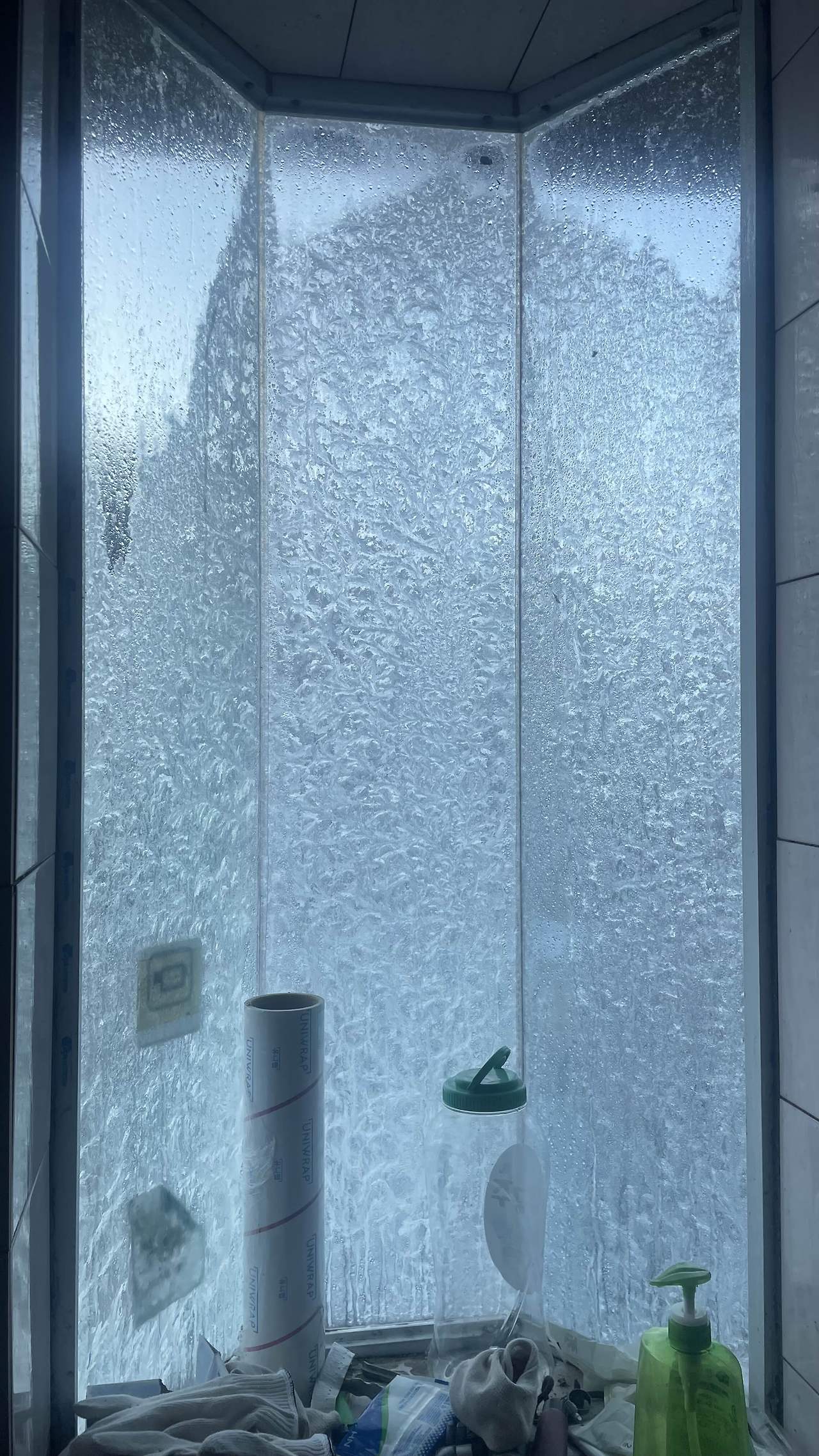 한파로 인한 얼음꽃