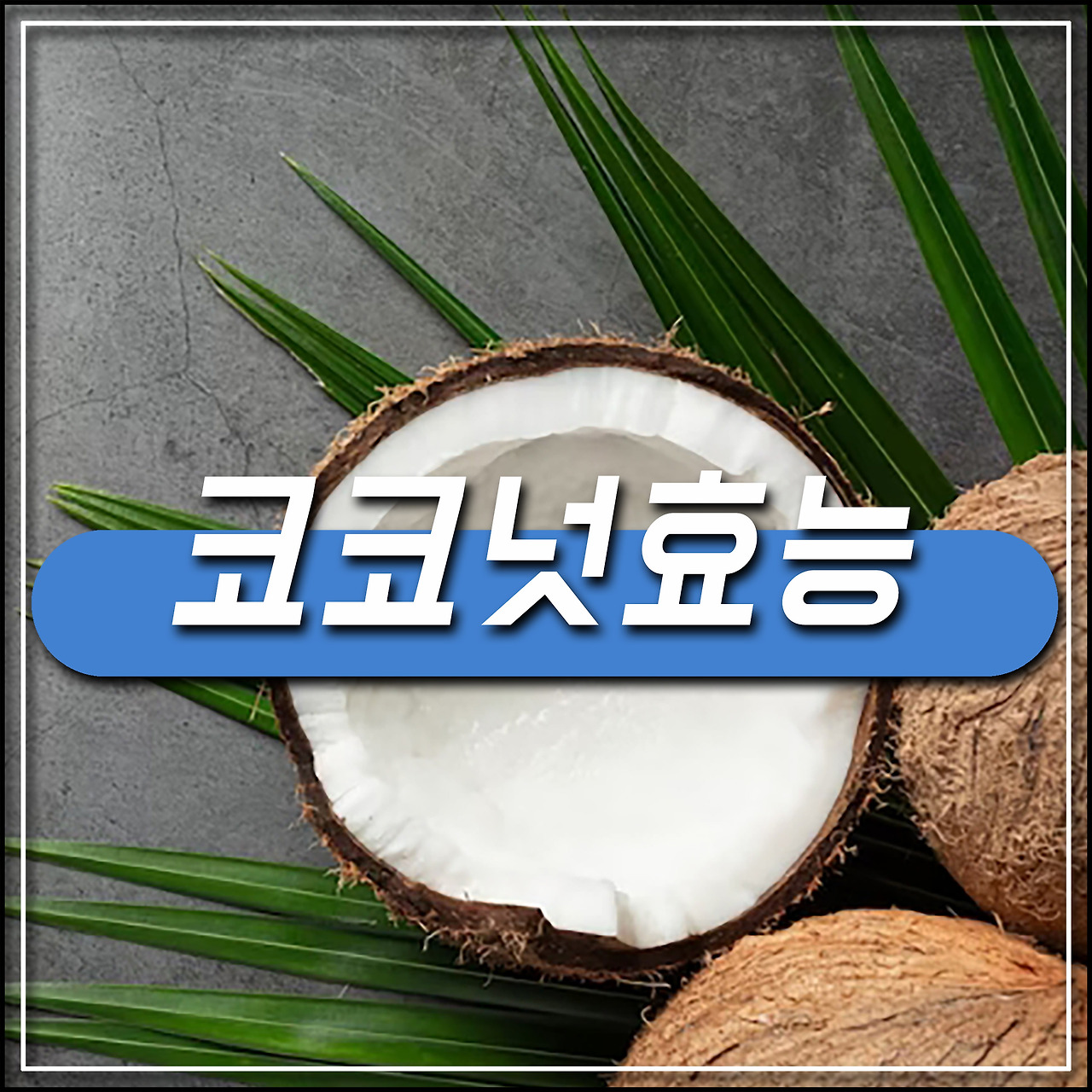코코넛 오일 워터 밀트 효능 엑스트라버진 코코넛오일 효과