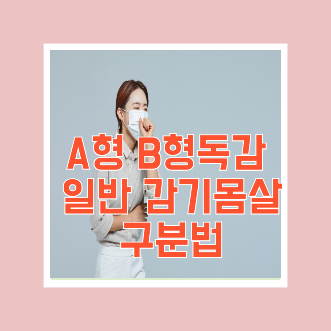 A형독감 B형독감 일반 감기몸살 구분법 알아보자