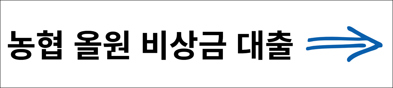 농협 올원 비상금대출 이자 조건 신청방법 알아보기