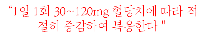 디아미크롱 서방정 60mg 의약품 알려드립니다
