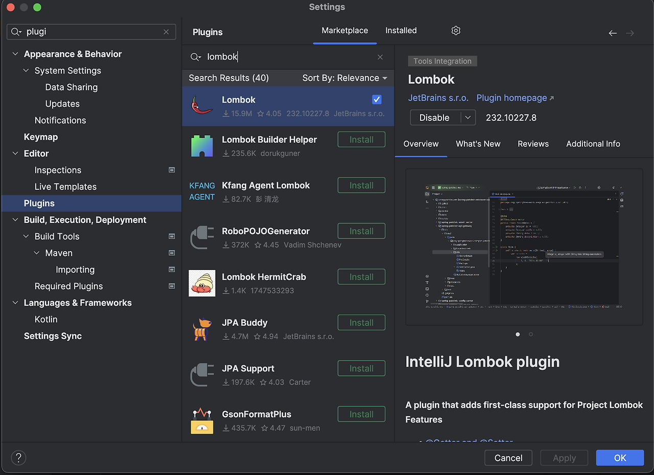 [JAVA] Lombok(롬복) 사용 - IntelliJ에서 설치 및 적용방법