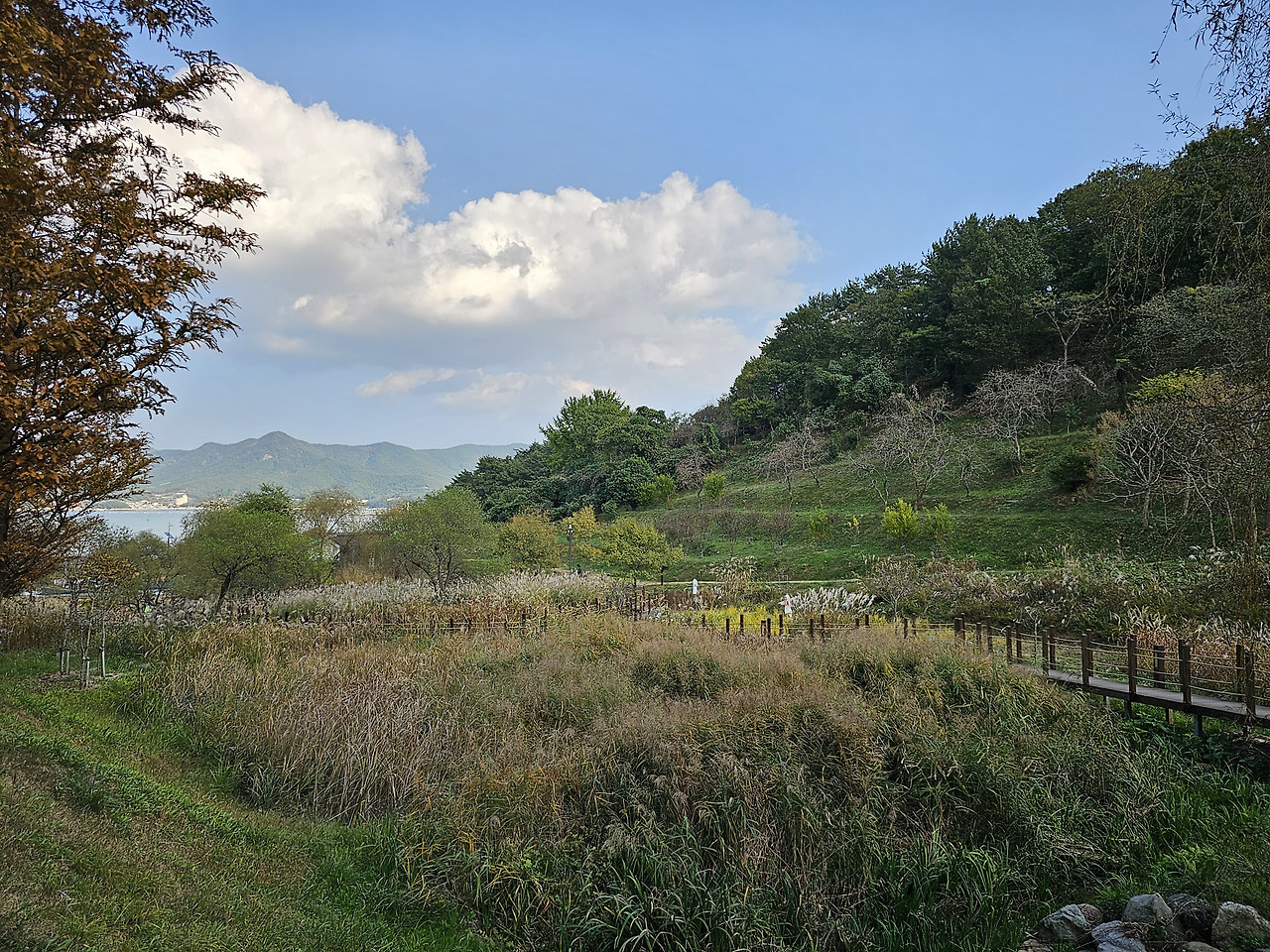 [경남/통영] 통영 RCE 세자트라 숲