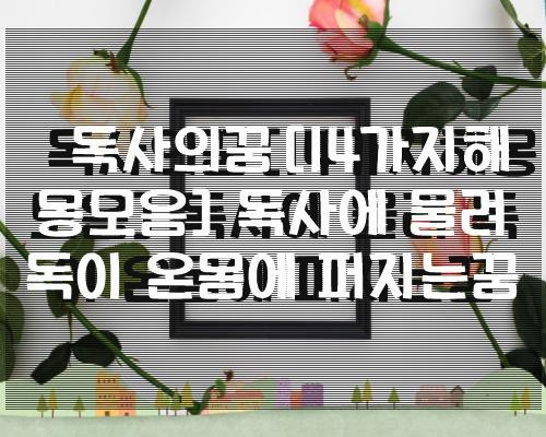 독사의꿈 14가지해몽모음 독사에 물려 독이 온몸에 퍼지는꿈