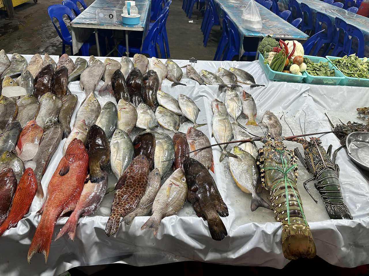 코타키나발루 필리피노 마켓 필리피노 야시장 코타키나발루 두리안 살 수 있는 곳 코타키나발루 로컬마켓 코타키나발루 야시장