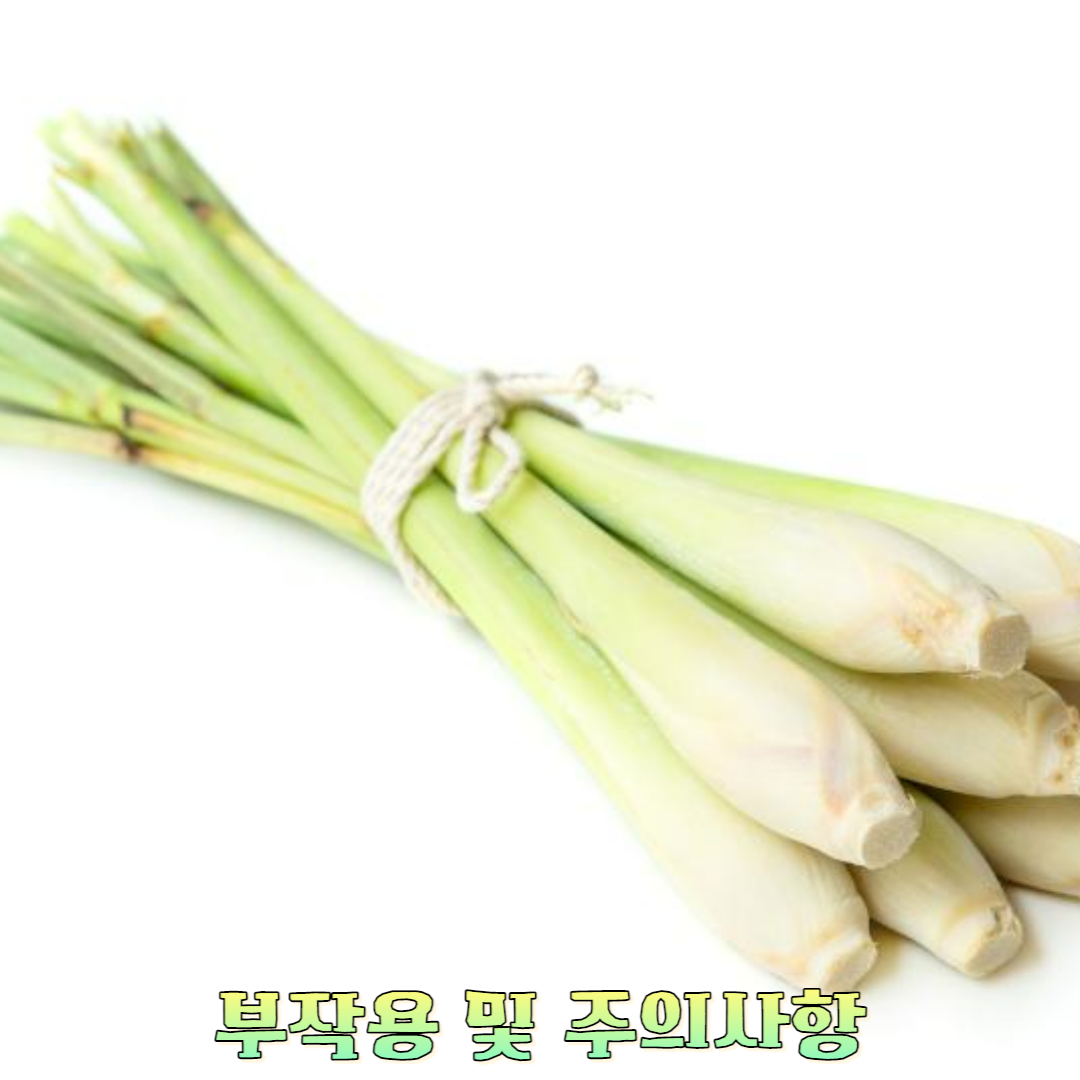 레몬그라스 효능 영양성분 고르는법 부작용