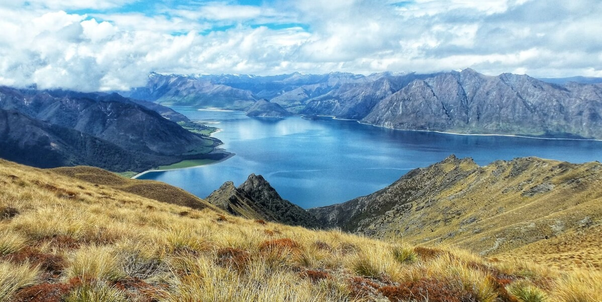 뉴질랜드 온라인 입국신고서 NZTD 작성법