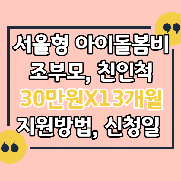 서울형 아이돌봄비 조부모 돌봄 수당 30만원x최대 13개월 지원 지원 대상 2명 이상 신청일 신청방법 제출서류 타지역