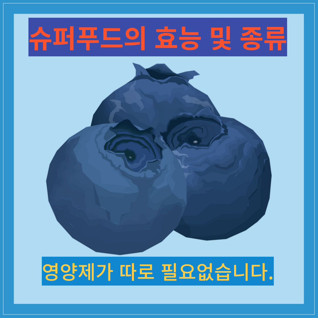 슈퍼푸드의 효능 및 종류 10가지 채널 해봄
