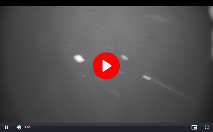 태백산 천제단 실시간cctv보는 곳 정리 기상상황 미리 보고 등산하세요 워커경제